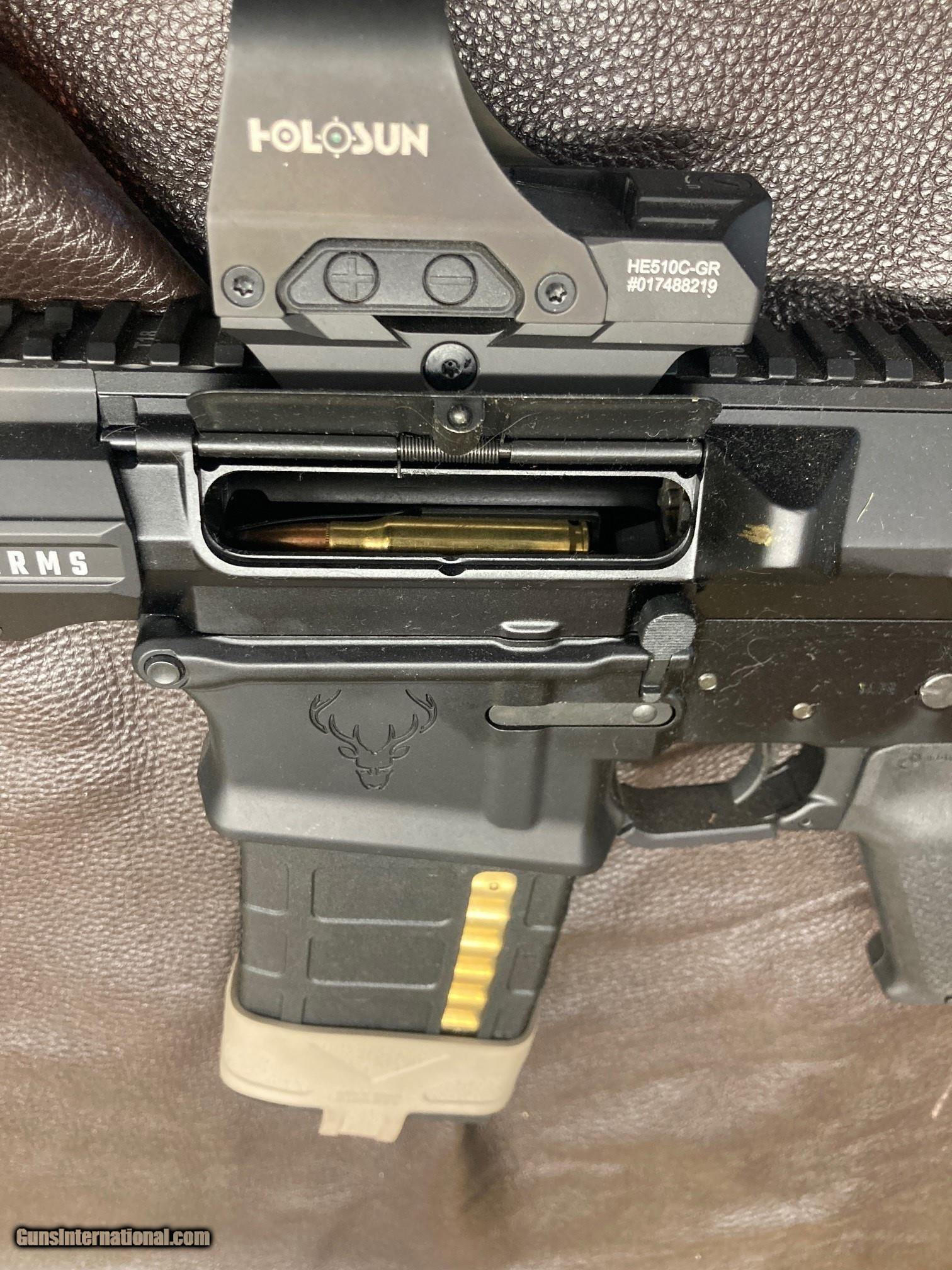 Stag, AR-10, 308 with American Precision brake and Holosun red dot.