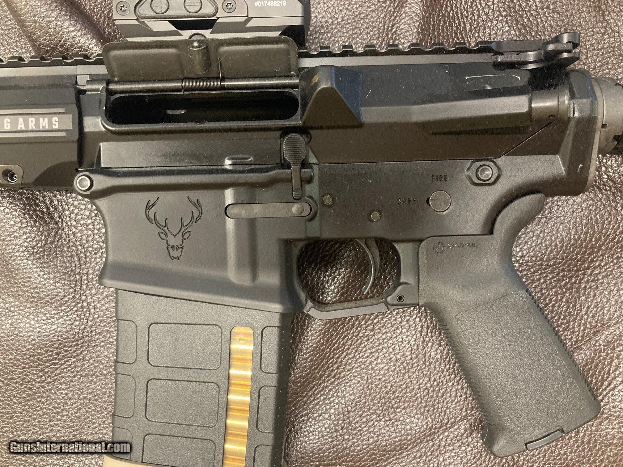 Stag, AR-10, 308 with American Precision brake and Holosun red dot.