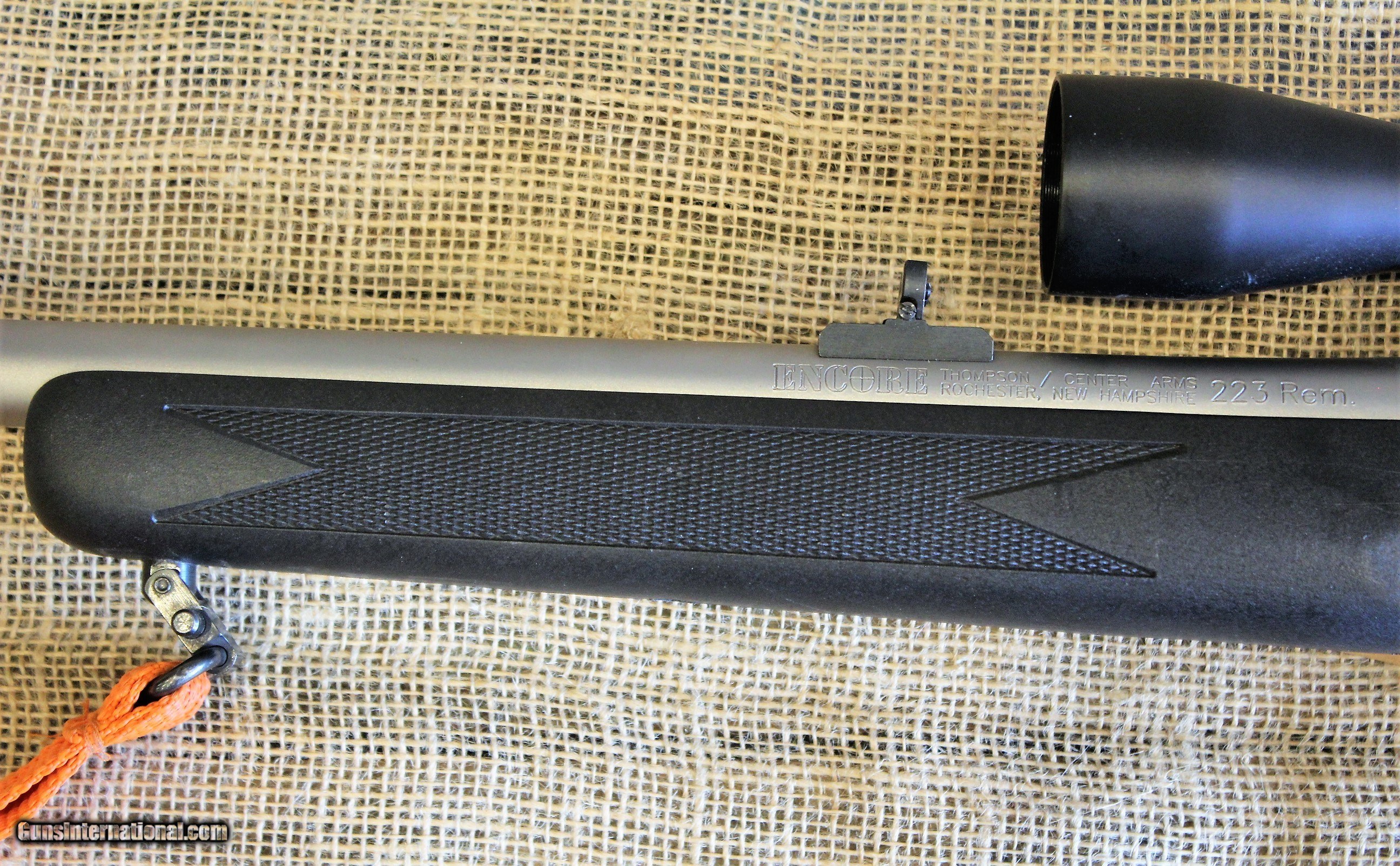 Thompson Center Arms Encore in .223 REM