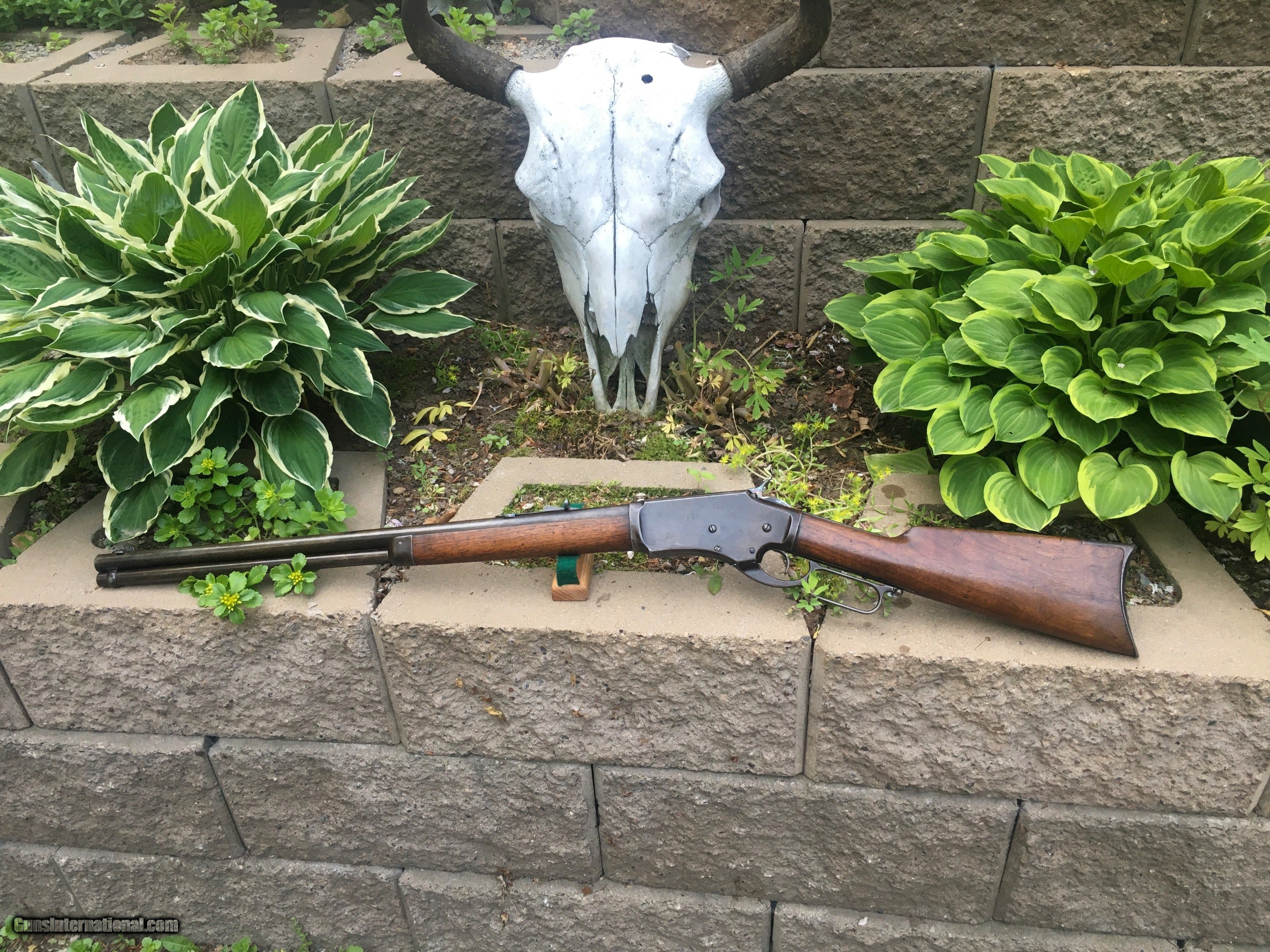 Whitney rifle, 44 cal