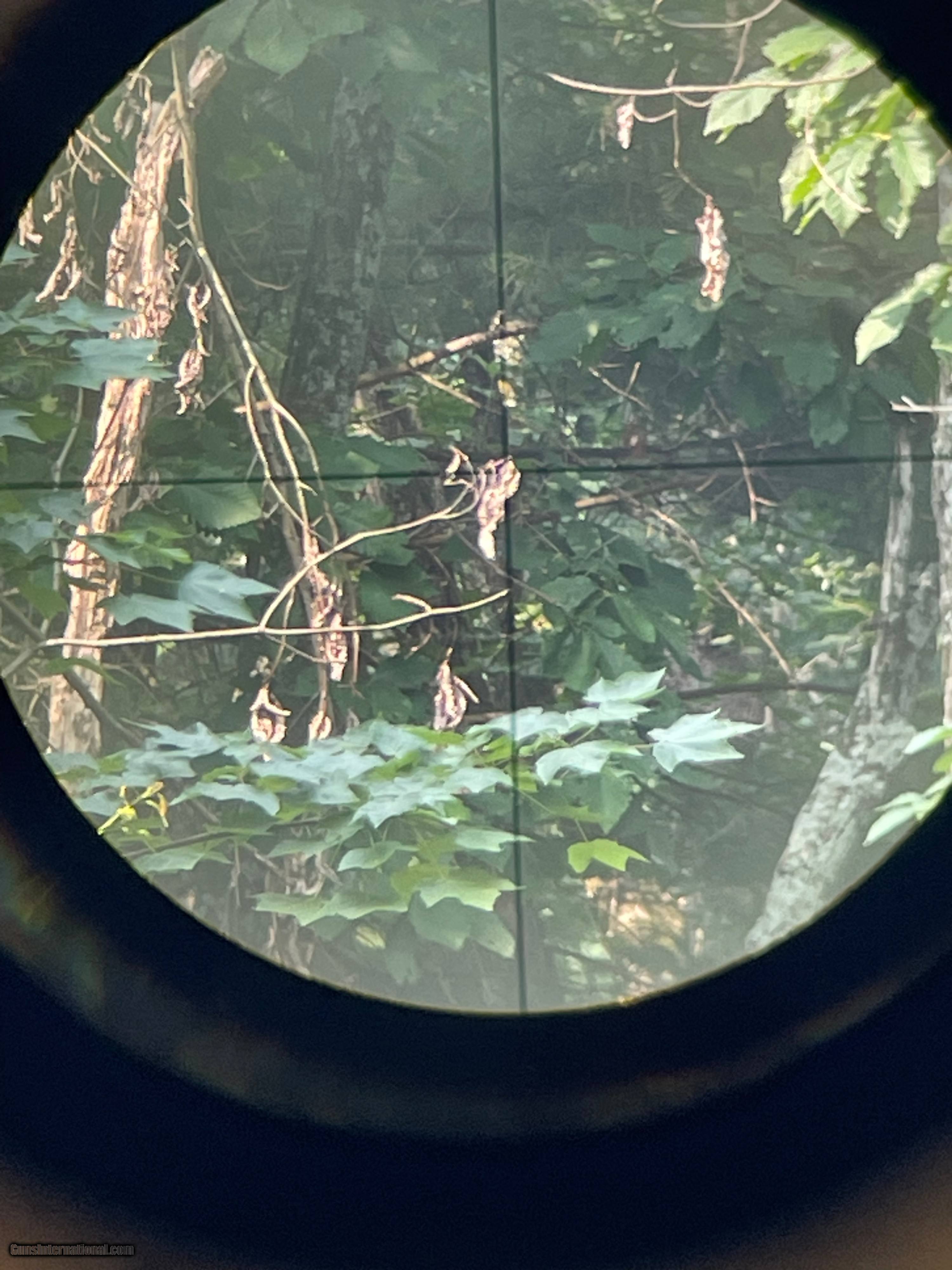 Malcolm 8X GEN II Vintage Sniper Competition Scope (Hi LuX) for sale