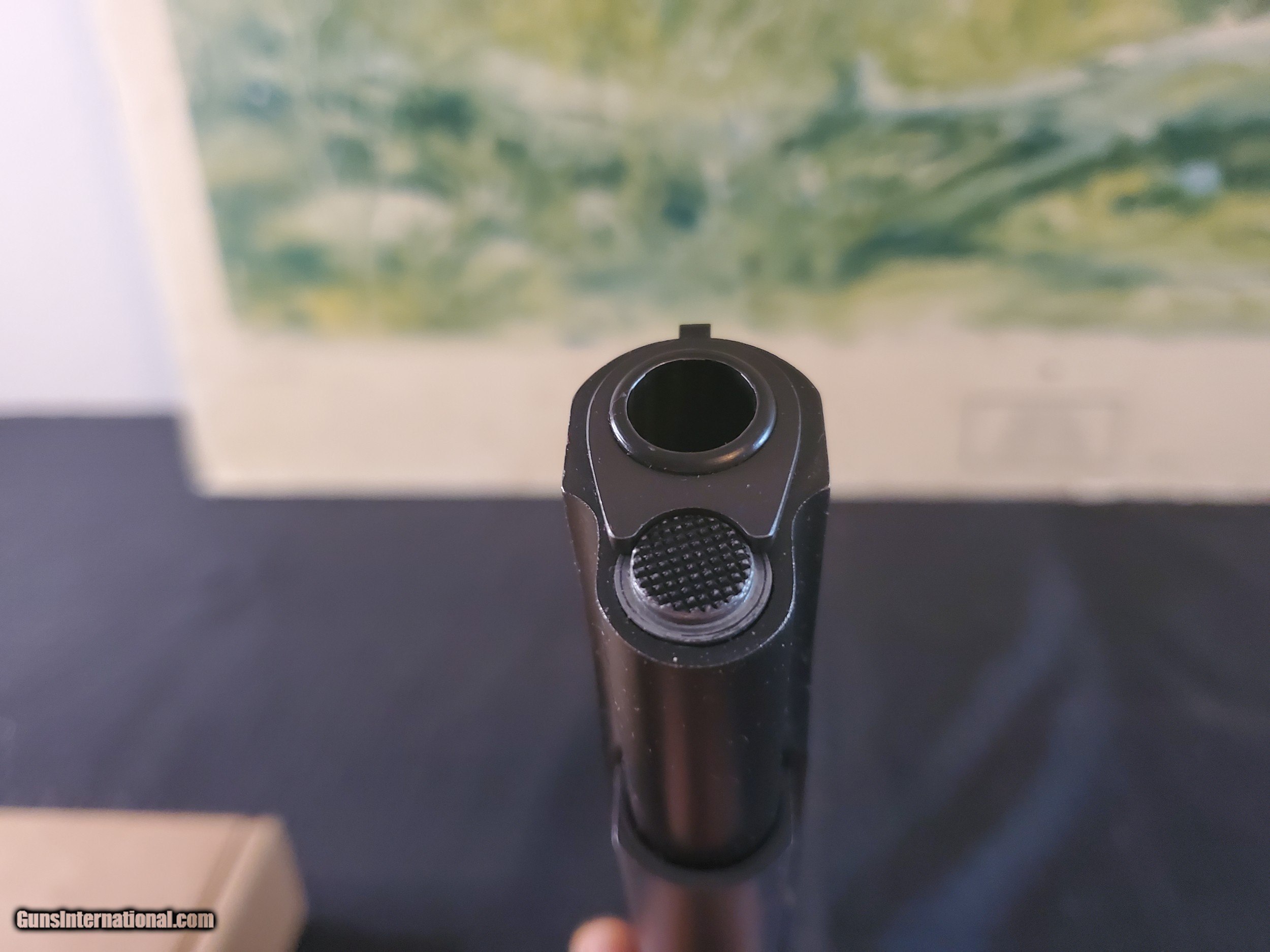 Springfield Armory Defender 1911 45 ACP