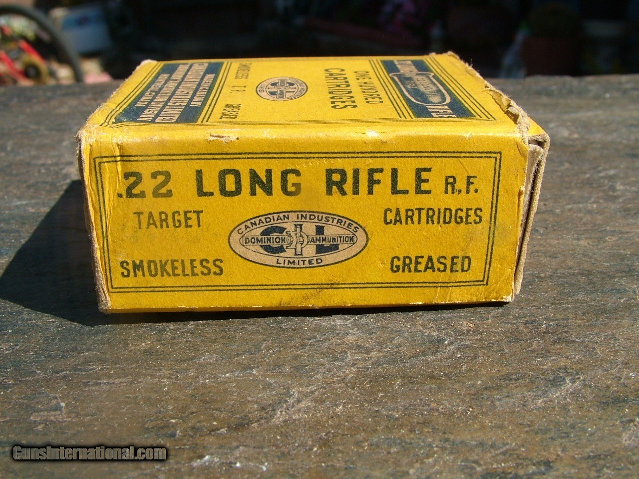 CANADIAN DOMINION AMMUNITION .22 LONG RIFLE BOX 100