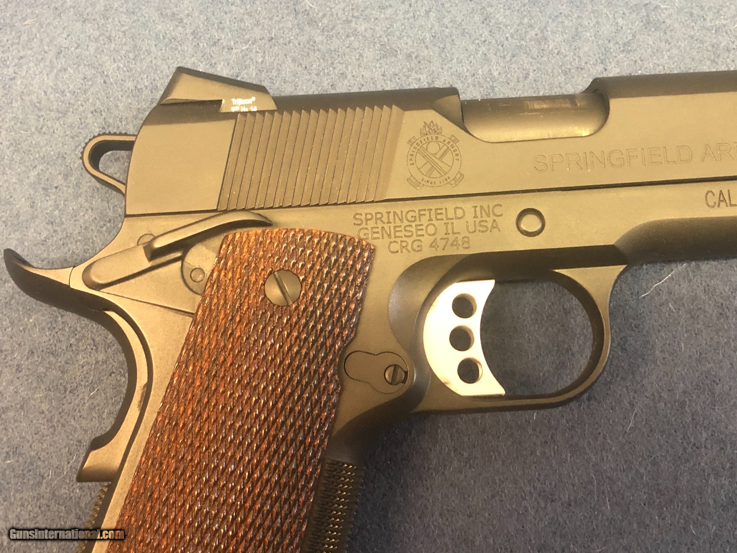 Springfield Armory Professional "FBI Hostage Rescue Team" Custom Shop