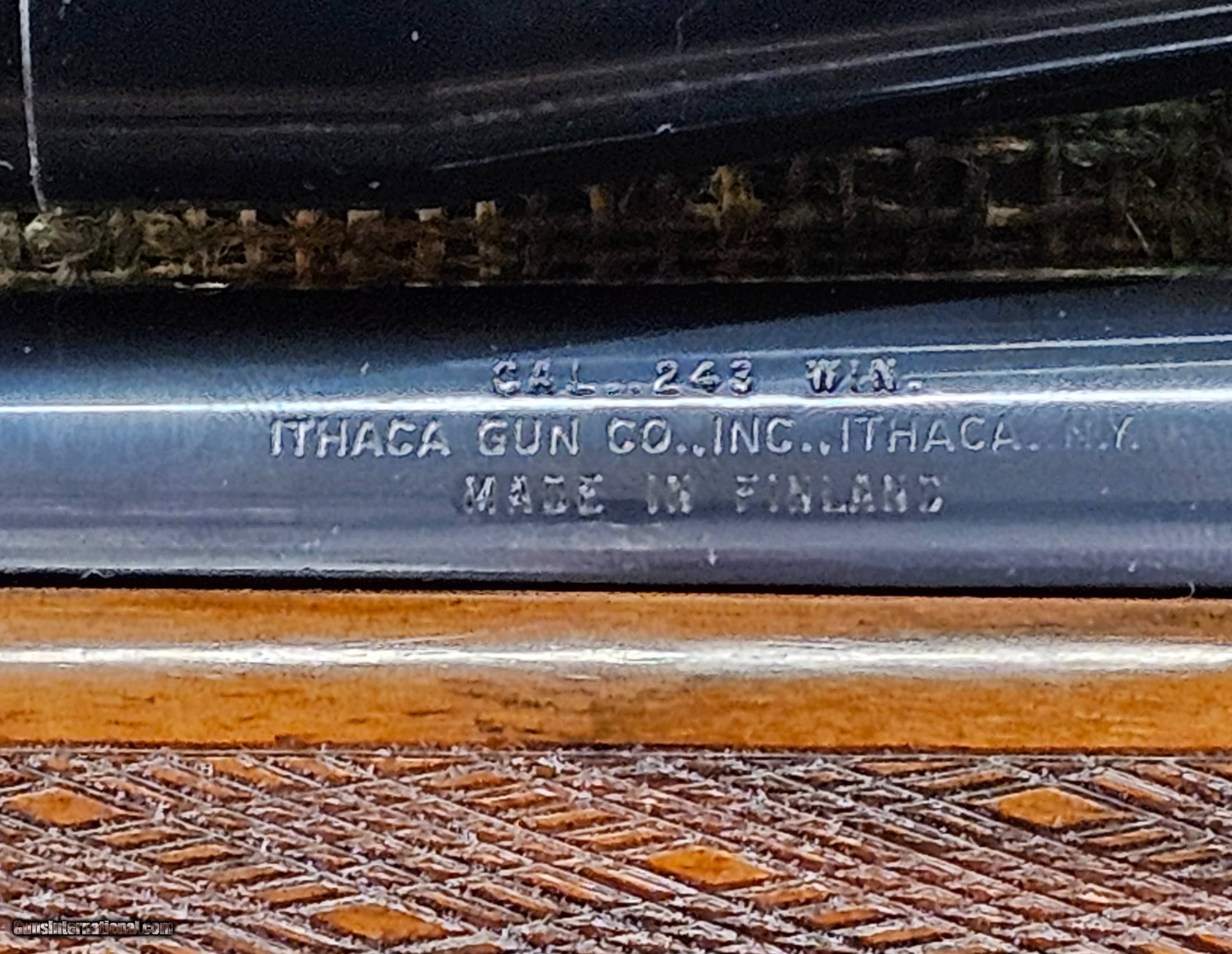 Ithaca Model LSA-55 Bolt Action. 243 Winchester - Optics - Free Shipping