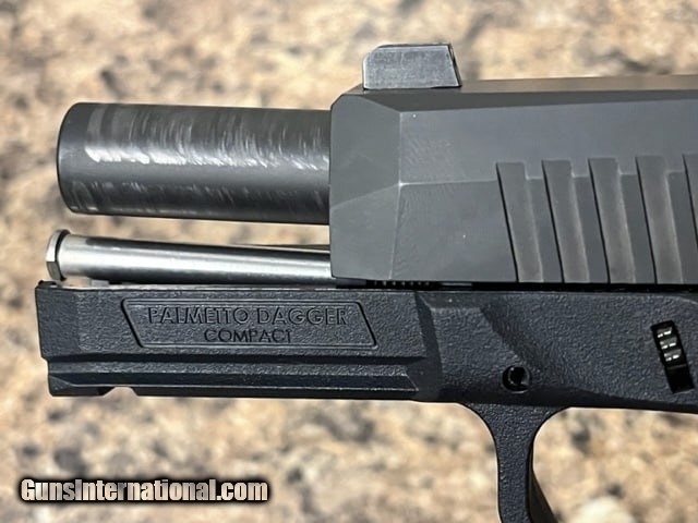 PALMETTO STATE ARMORY DAGGER COMPACT