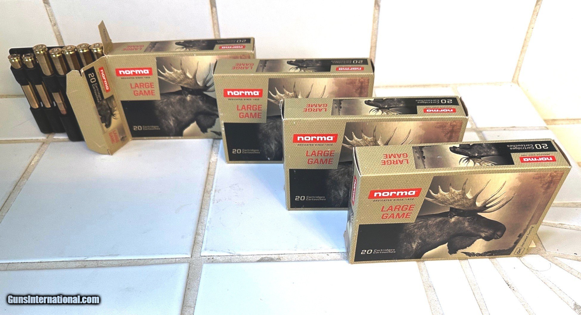 NORMA Rifle Cartridges 270 grain TSX for the 375 H&H