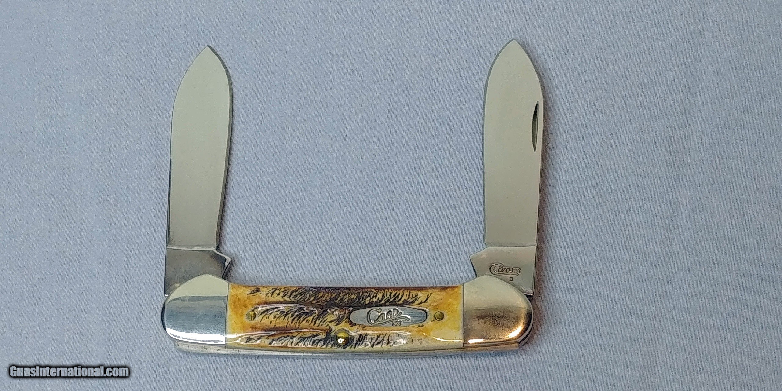 Case XX 6.52131 SS Bone Stag Handles - Canoe - NIB