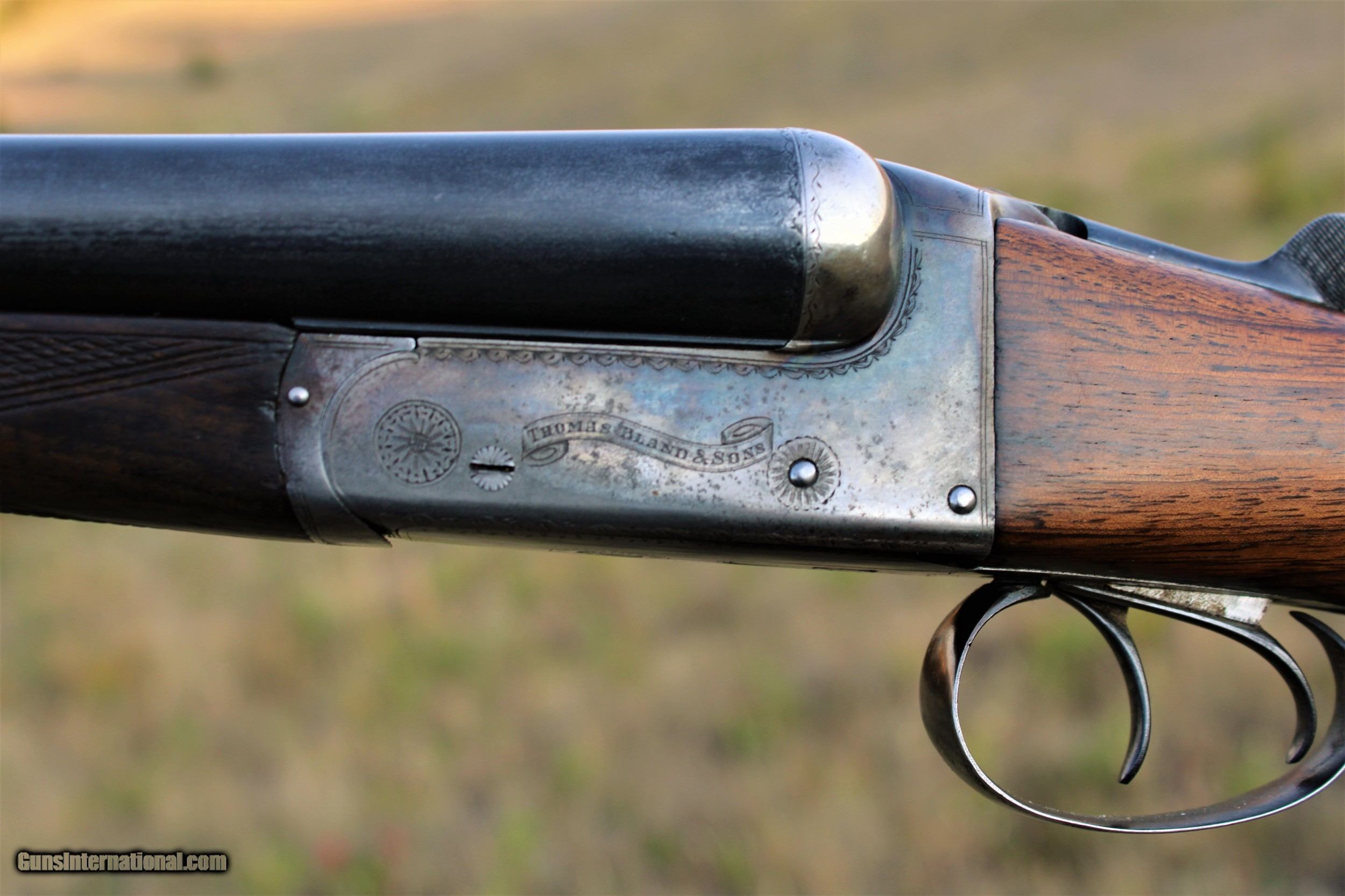 Thomas Bland 16 Gauge Boxlock Ejector