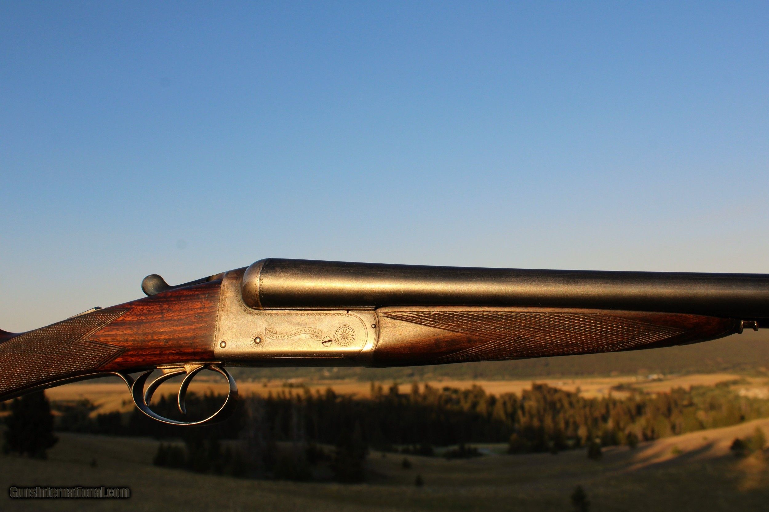 Thomas Bland 16 Gauge Boxlock Ejector