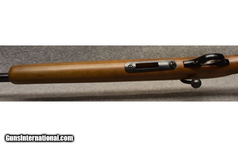 Glenfield ~ Model 20 ~ .22 S/L/LR