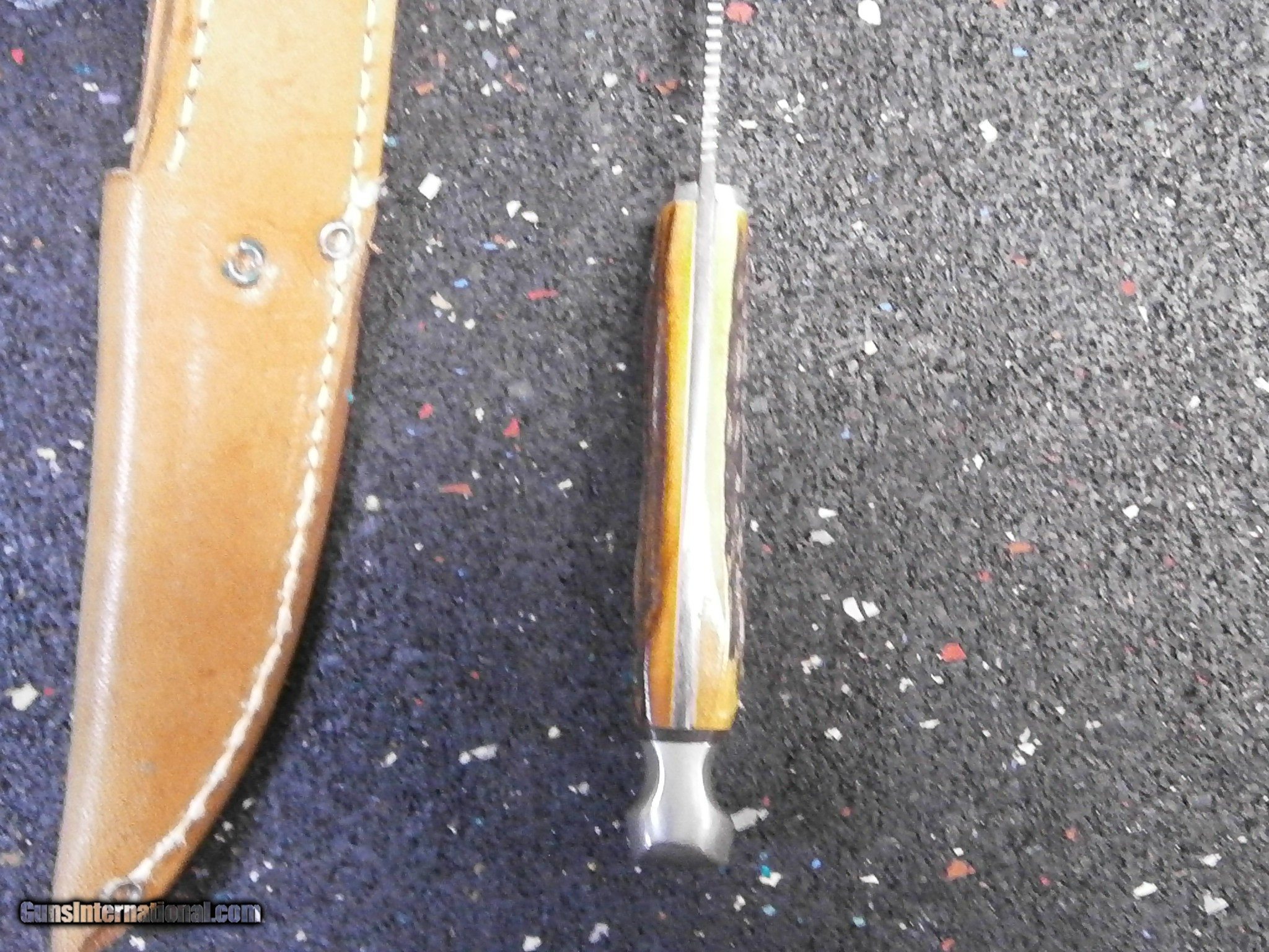 Case M5F Stag Bird and Trout Knife