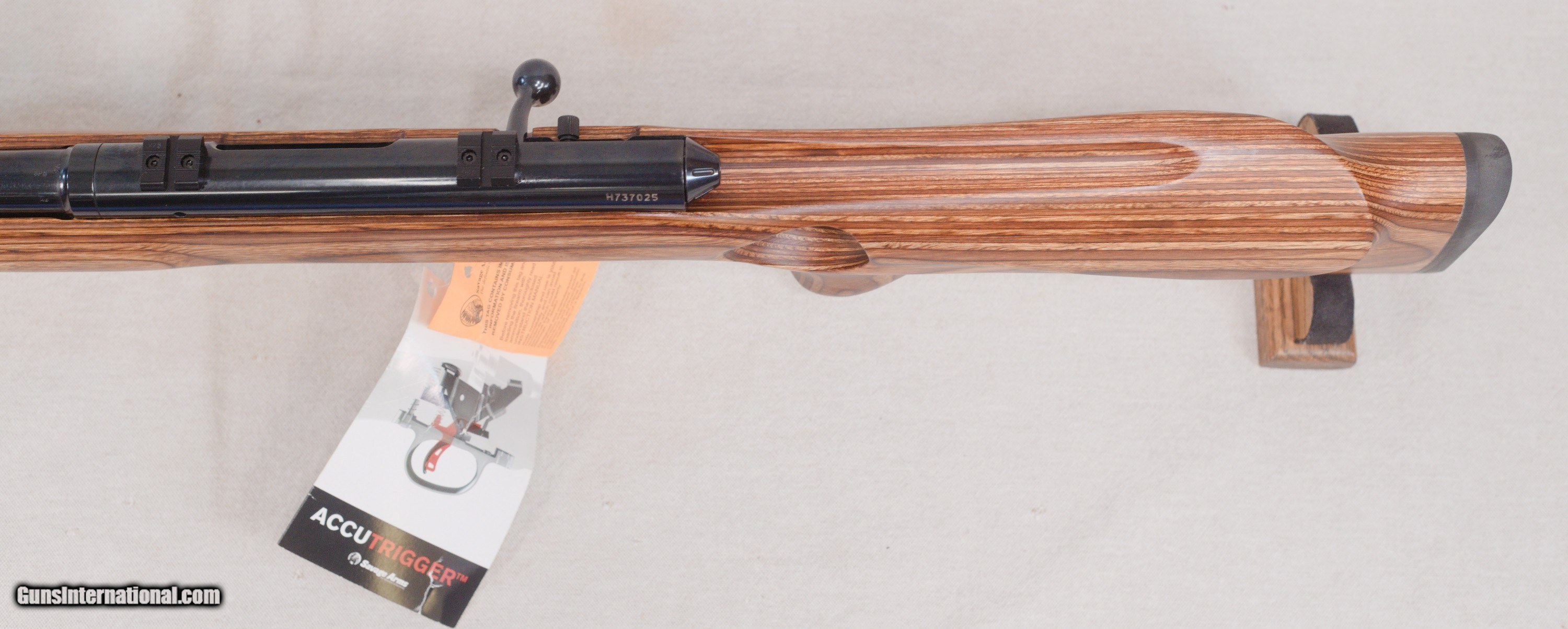 Savage Model 25 Light Varmint Rifle in .17 Hornet Caliber **Like New ...