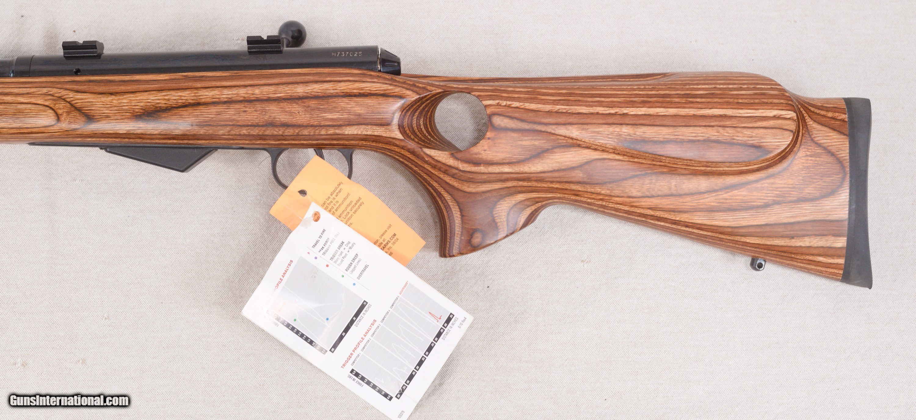 Savage Model 25 Light Varmint Rifle in .17 Hornet Caliber **Like New ...