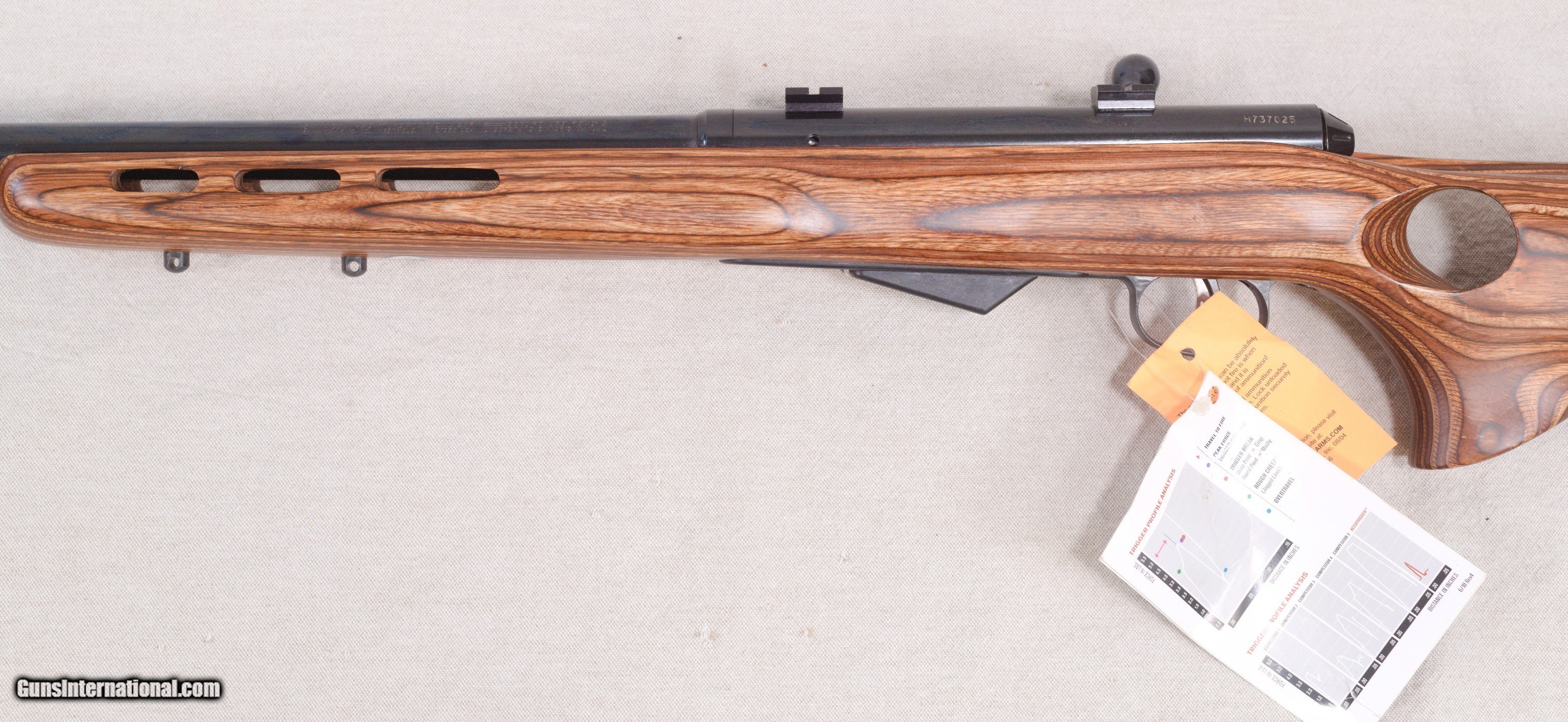 Savage Model 25 Light Varmint Rifle in .17 Hornet Caliber **Like New ...