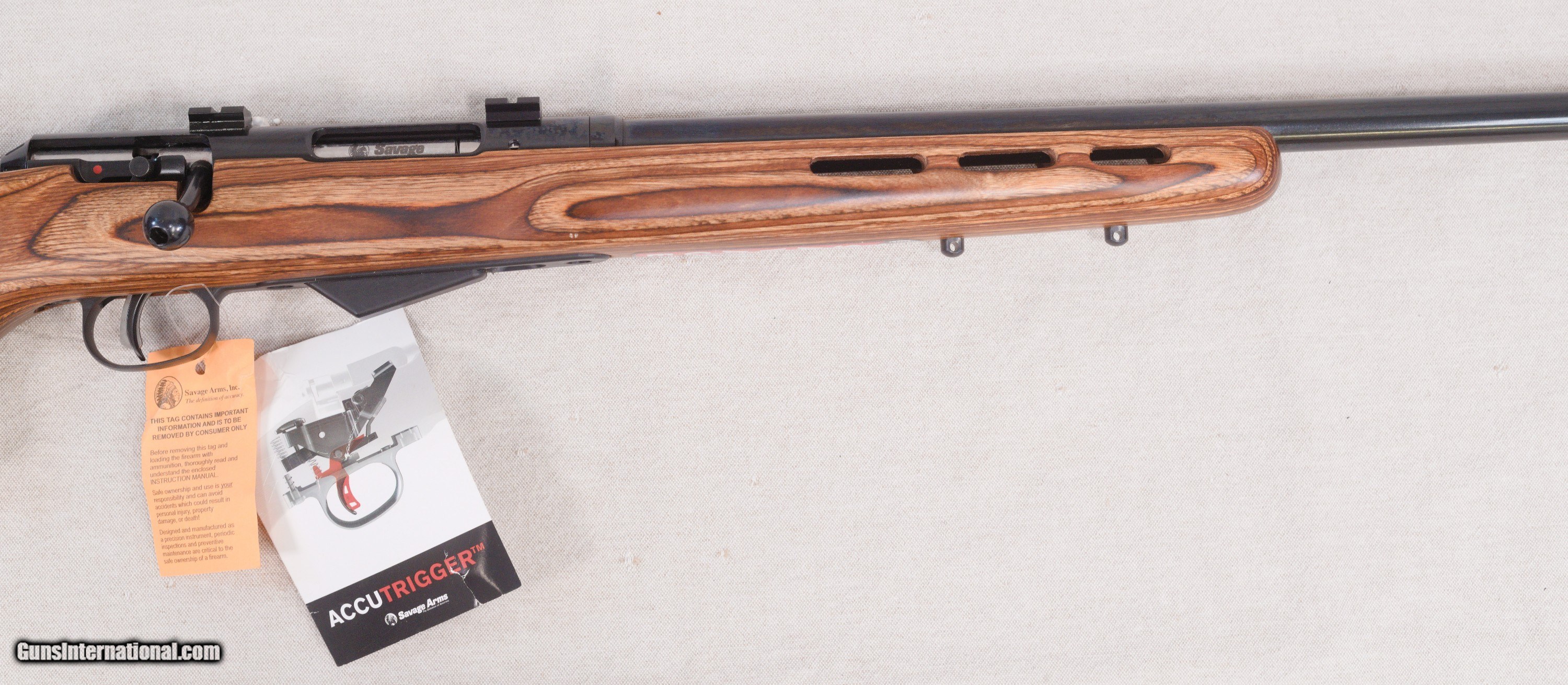 Savage Model 25 Light Varmint Rifle in .17 Hornet Caliber **Like New ...