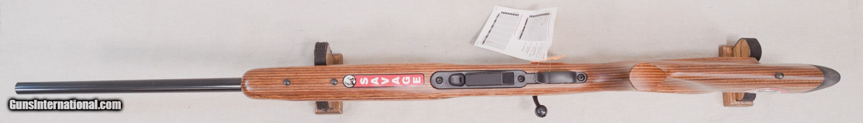 Savage Model 25 Light Varmint Rifle in .17 Hornet Caliber **Like New ...