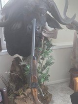 William Christian Firearms Falling Block .700 Nitro Express for sale