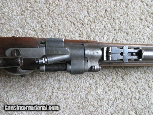 British Enfield Snider Carbine/Rifle?
