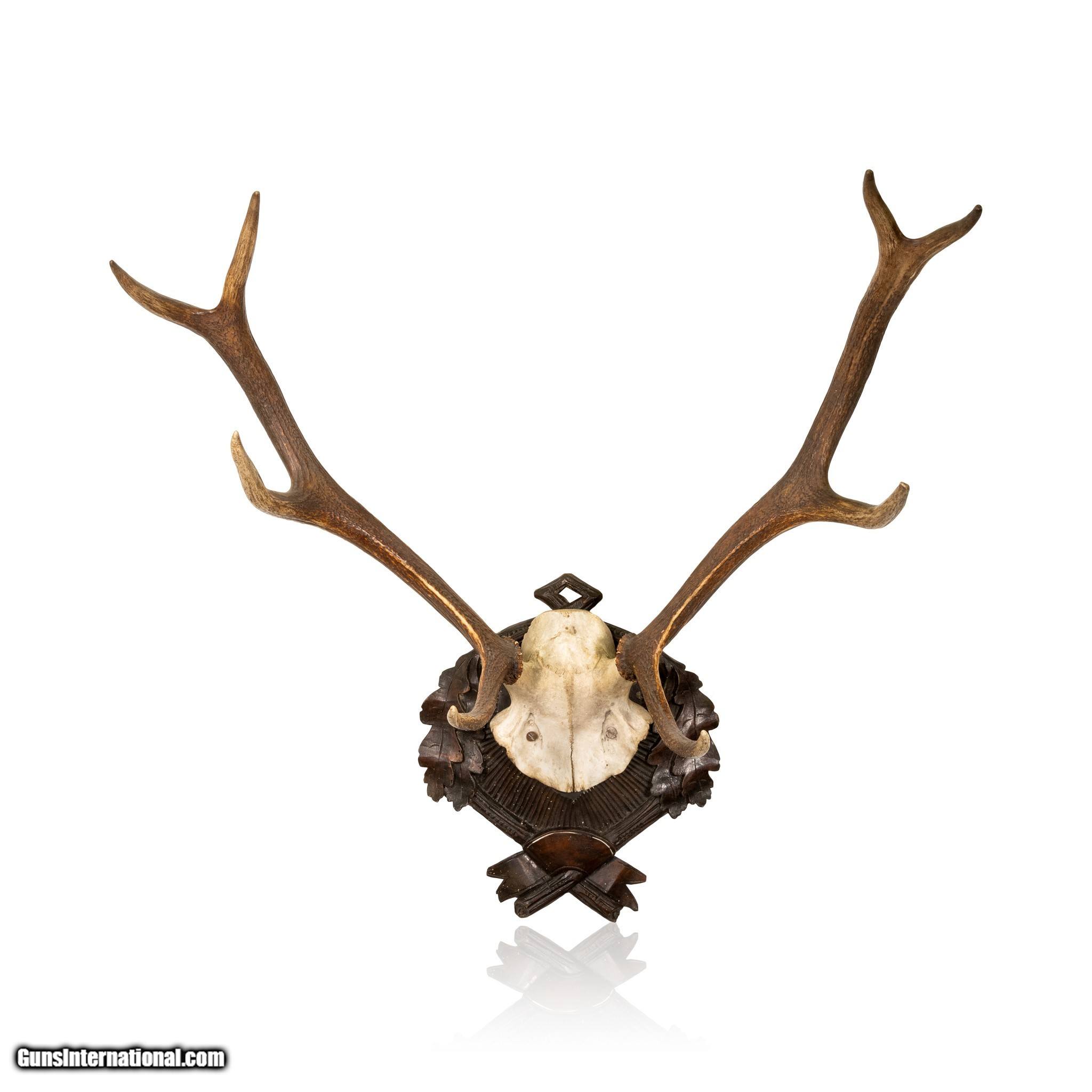 Red Stag Trophy Mount for sale